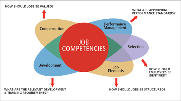 Difference Between Job Descriptions and Competency Models Difference Between Job Descriptions and Competency Models
