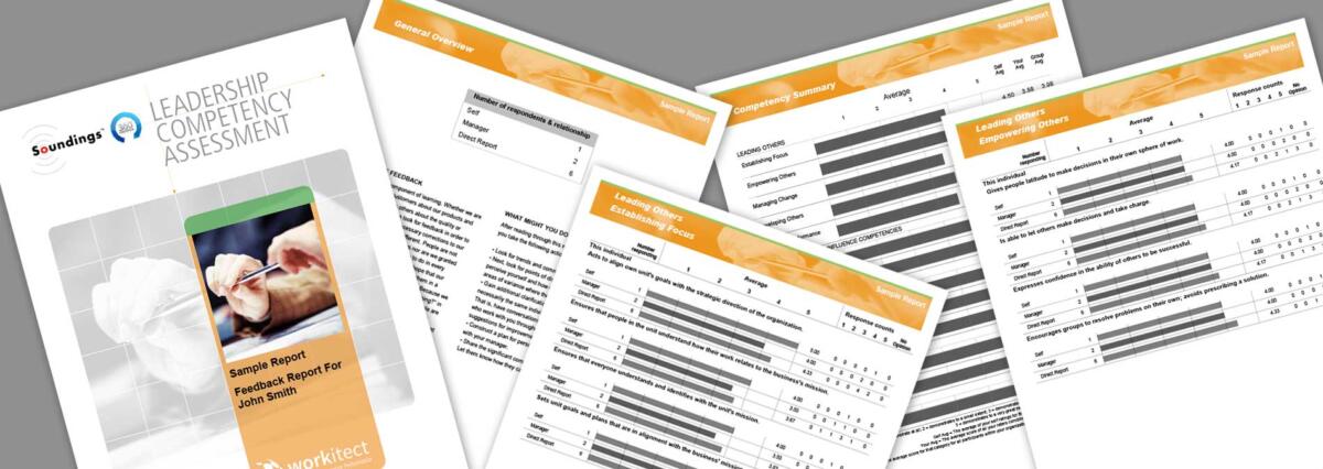 360° Leadership Competency Assessment - Develop Leadership Potential