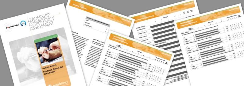 360° Leadership Competency Assessment - Develop Leadership Potential