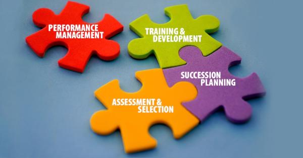 Streamlining Key HR & Talent Management for Optimal Performance